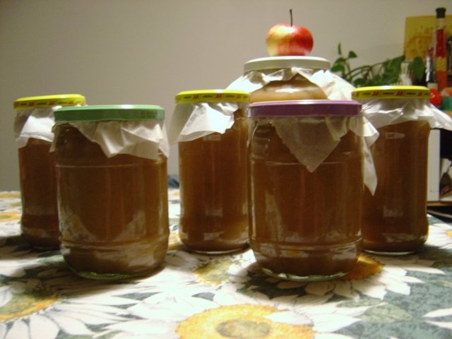 Omenasose vähäsokerinen - Resepti