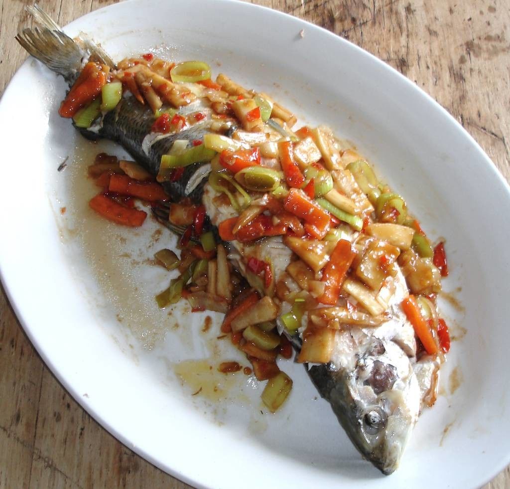 Siikaa osterikastikkeessa - Resepti