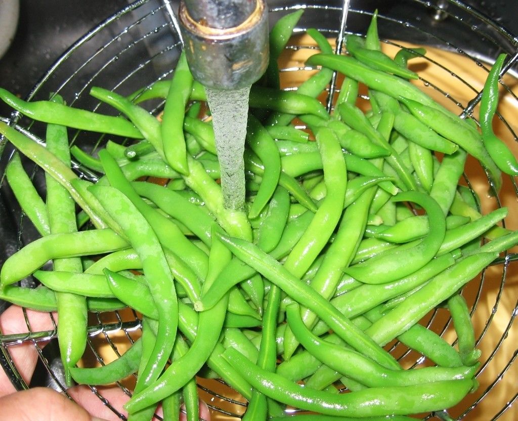 Papujen pakastus - Resepti