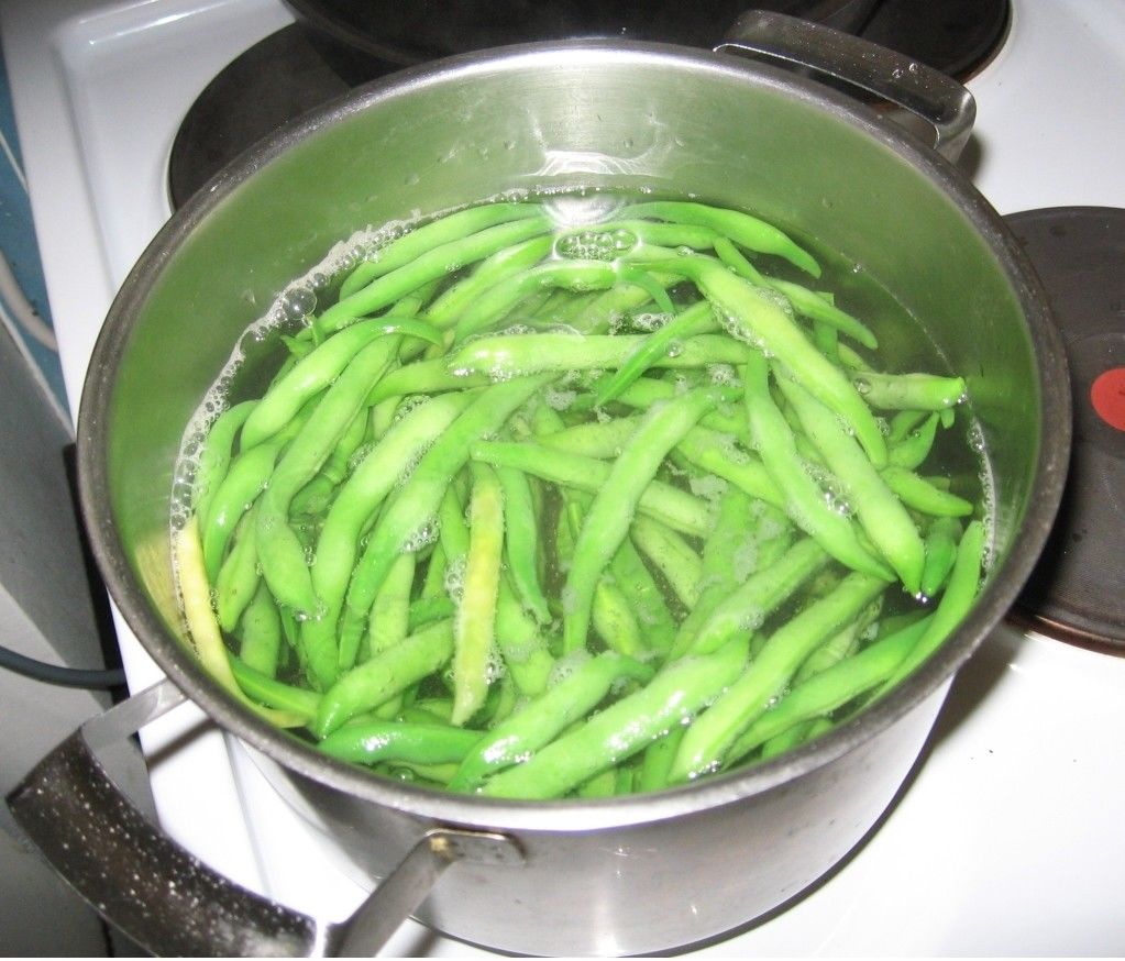 Papujen pakastus - Resepti