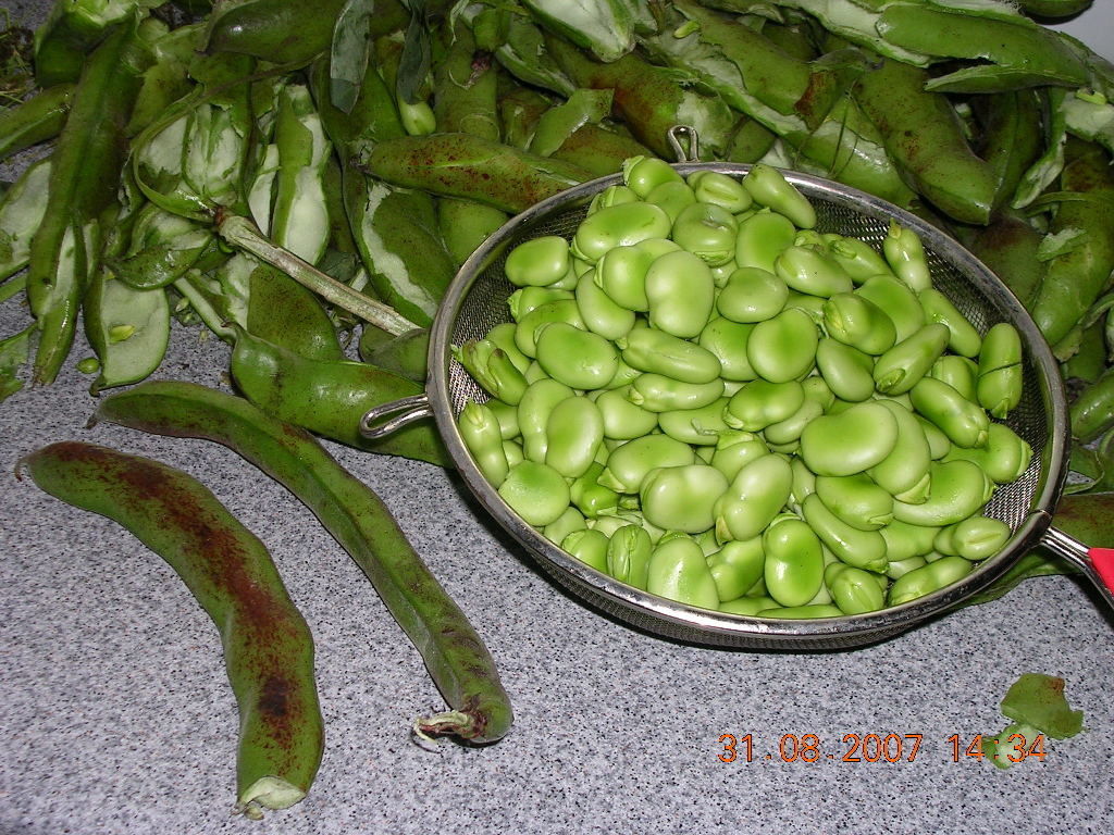 Härkäpapu pakastus - Resepti