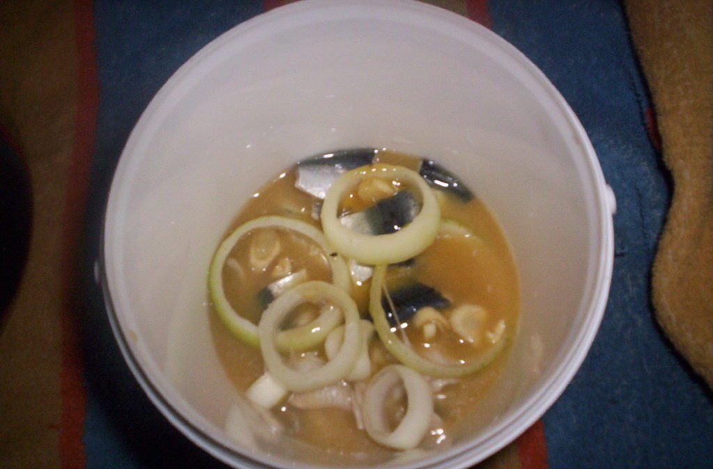 Sinappi/Valkosipuli Silakat - Resepti