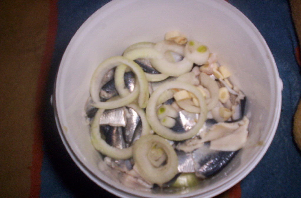 Sinappi/Valkosipuli Silakat - Resepti