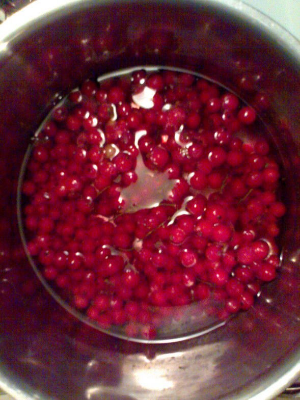 Vaniljainen marjapuuro punaherukasta - Resepti