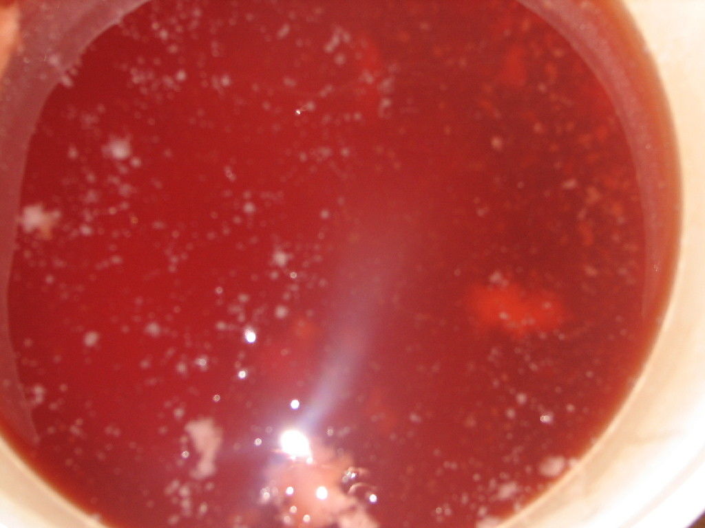 Kotiviiniä helposti ja nopeaan 25 litraa - Resepti