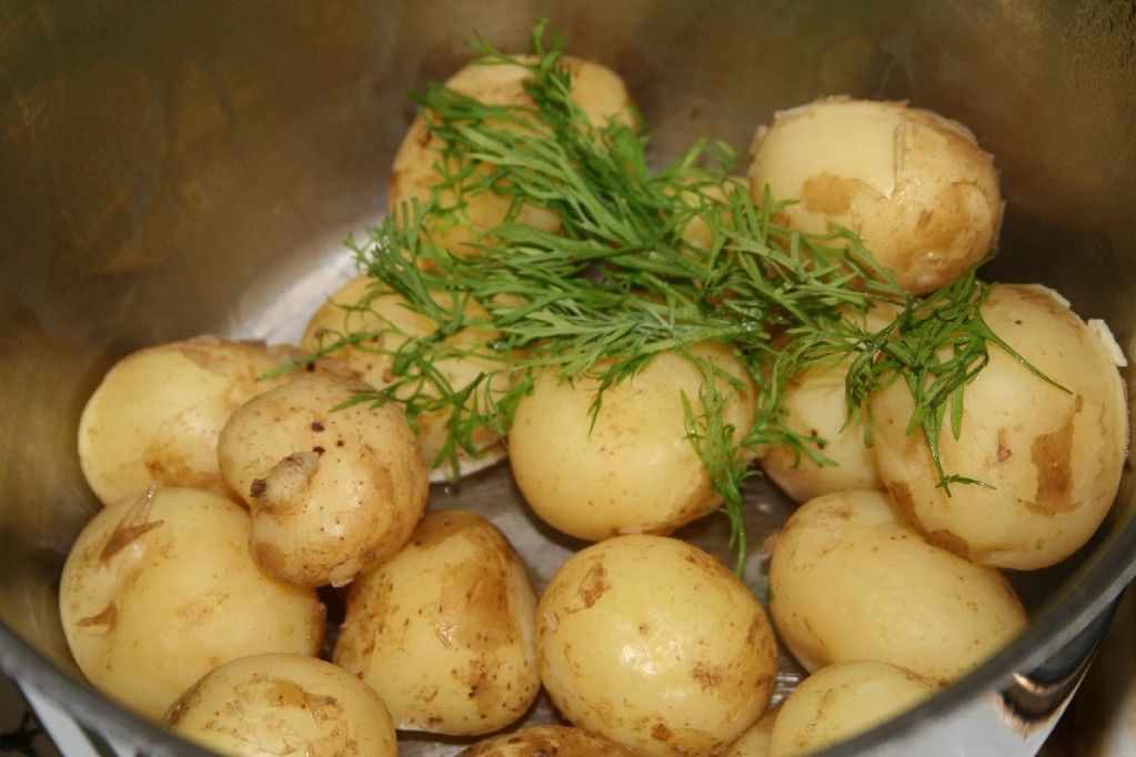 UUDET PERUNAT - Resepti