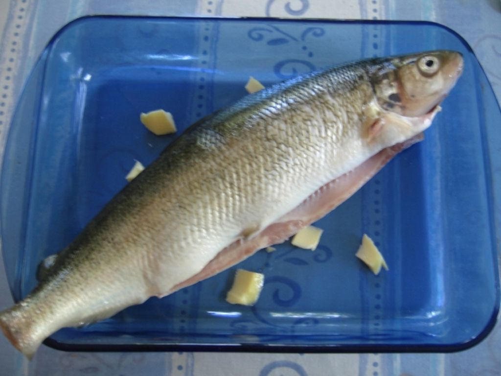 Siika-lohisoppa - Resepti