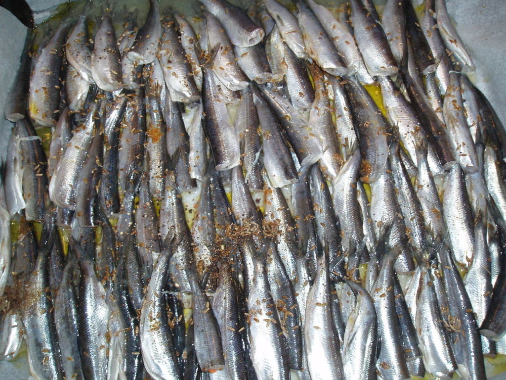 Sitruunamuikut libanonilaisittain -Lukung - Resepti