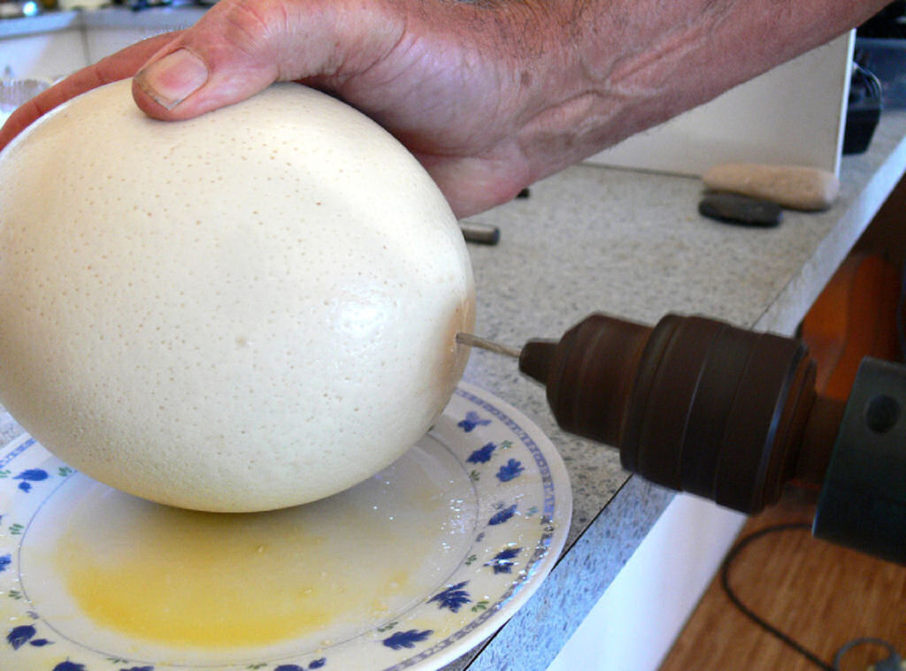 Strutsin munan avaaminen (kuori ehjana) - Resepti