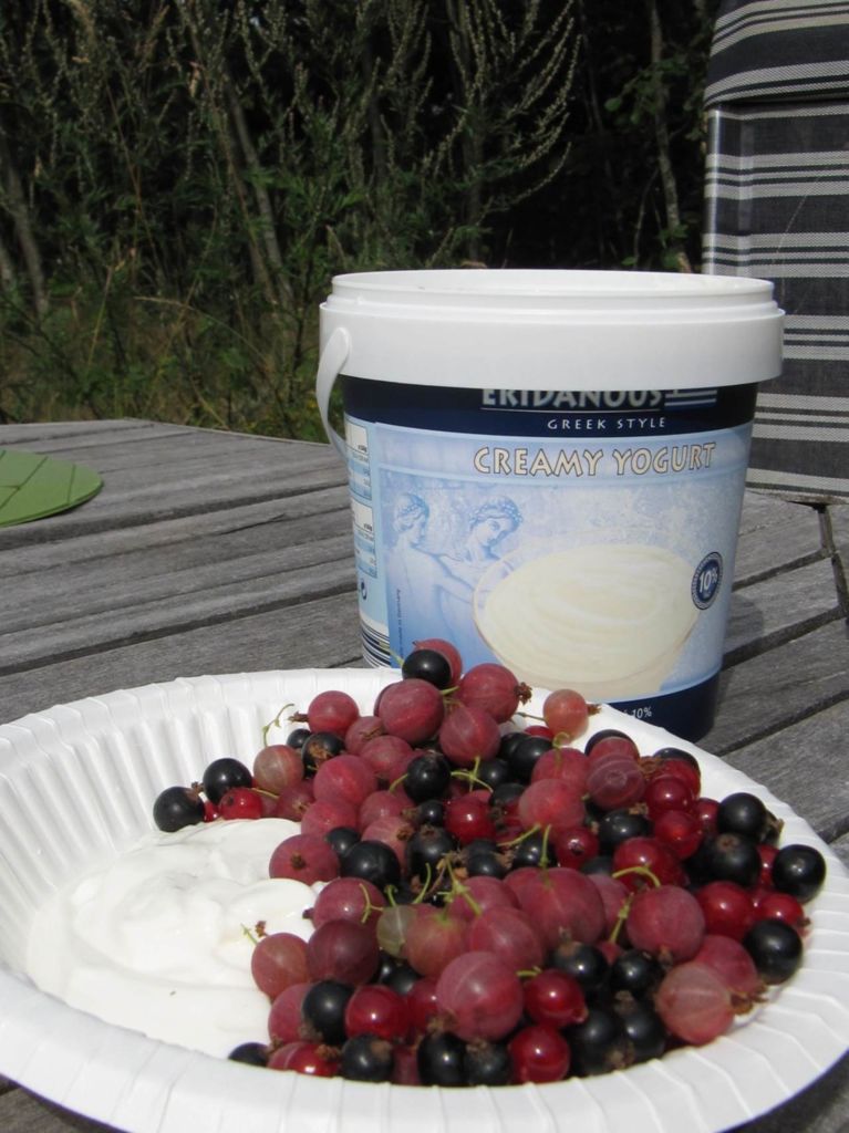 Ihana Aamupala - Resepti