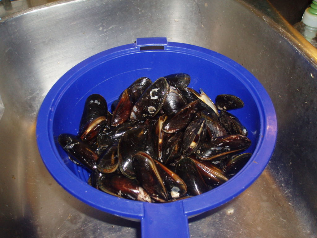 SiniSimpukoita a`la haani - Resepti