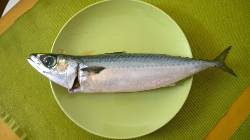 Sitruunainen grilli makrilli - Resepti