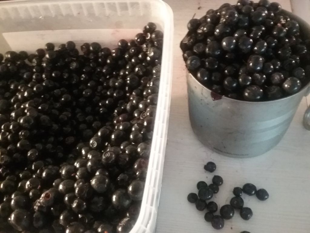 MUSTIKKAKEITTO Terveellinen&HERKKU - Resepti